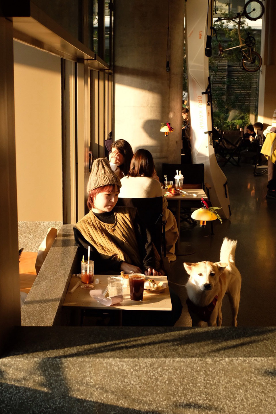 CEOL x OFF in Qincheng Park by Hangzhou Guantang Interior Design Co ...
