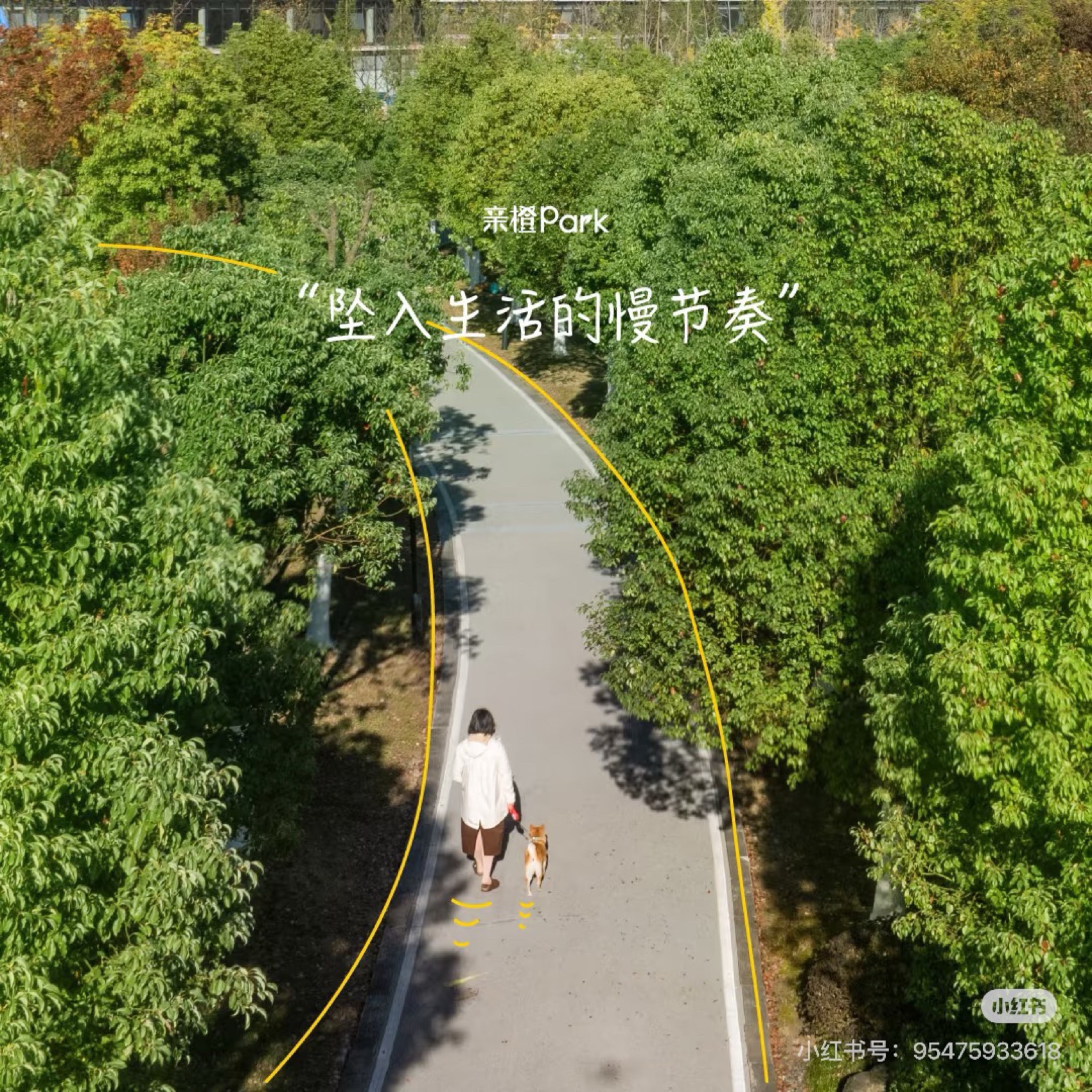 CEOL x OFF in Qincheng Park by Hangzhou Guantang Interior Design Co ...