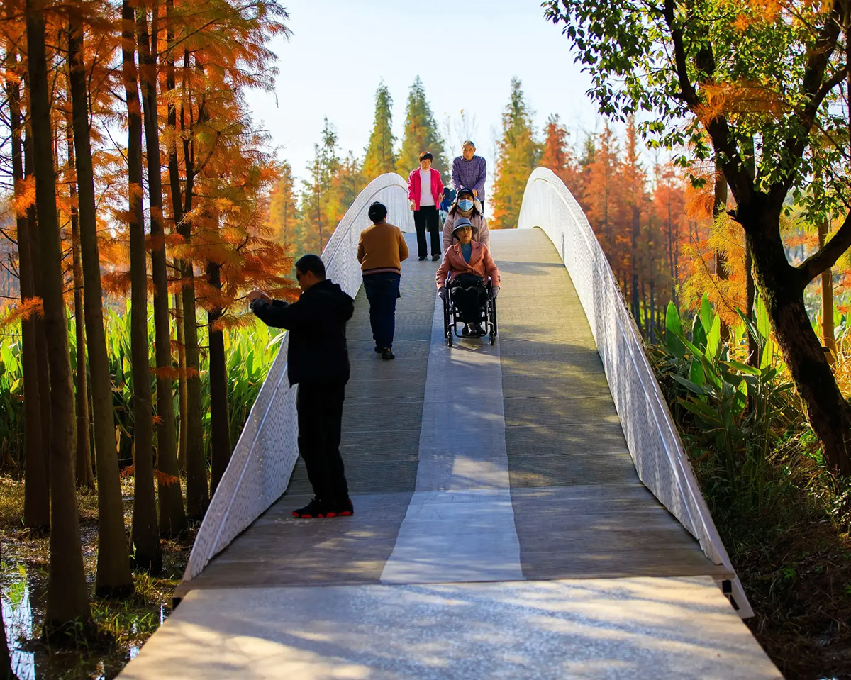 2025 ASLA GENERAL DESIGN AWARD OF EXCELLENCE: A Floating Forest: Fish ...