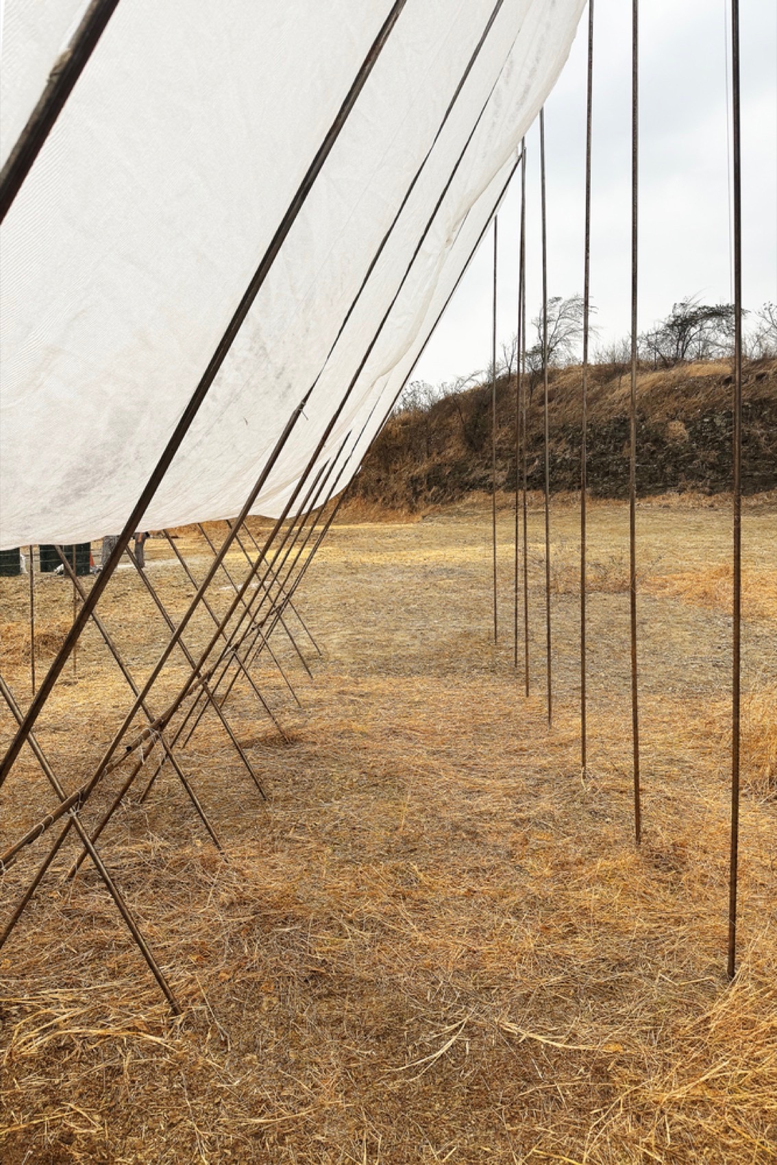 Horizon Pavilion & 100 Linear Meters Pavilion by Eletres Studio - 谷德设计网
