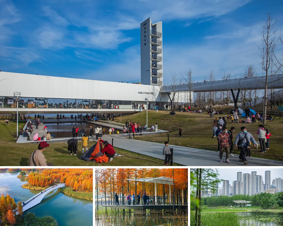 2025 ASLA GENERAL DESIGN AWARD OF EXCELLENCE: A Floating Forest: Fish ...