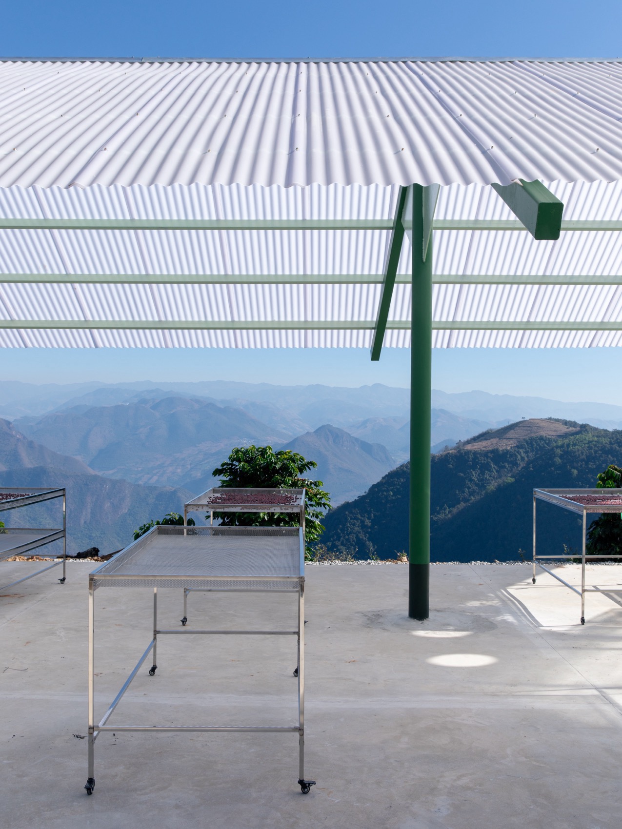 Terraweave Estate (Tiantian) Coffee Drying Yard in Baoshan, Yunnan by ...