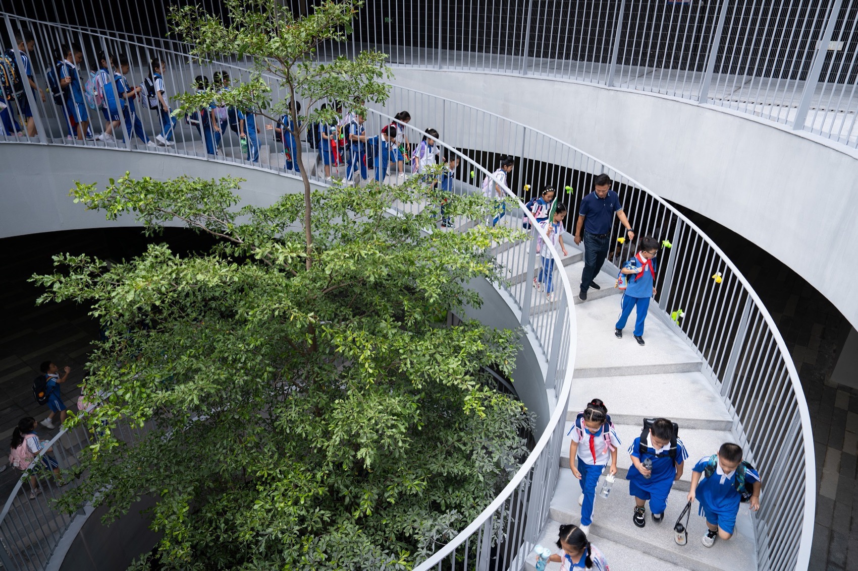 Shenzhen Futian Lvzhou Primary School by CCDI DongXiYing Studio - 谷德设计网