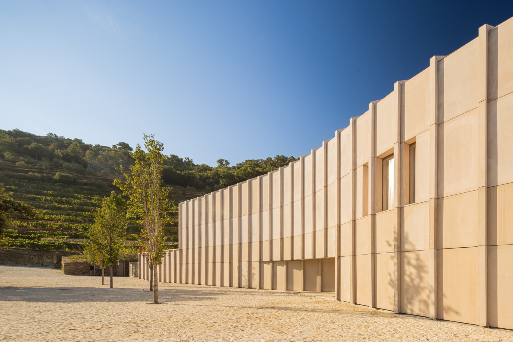 Winery project at Quinta de Adorigo by Atelier Sergio Rebelo - 谷德设计网