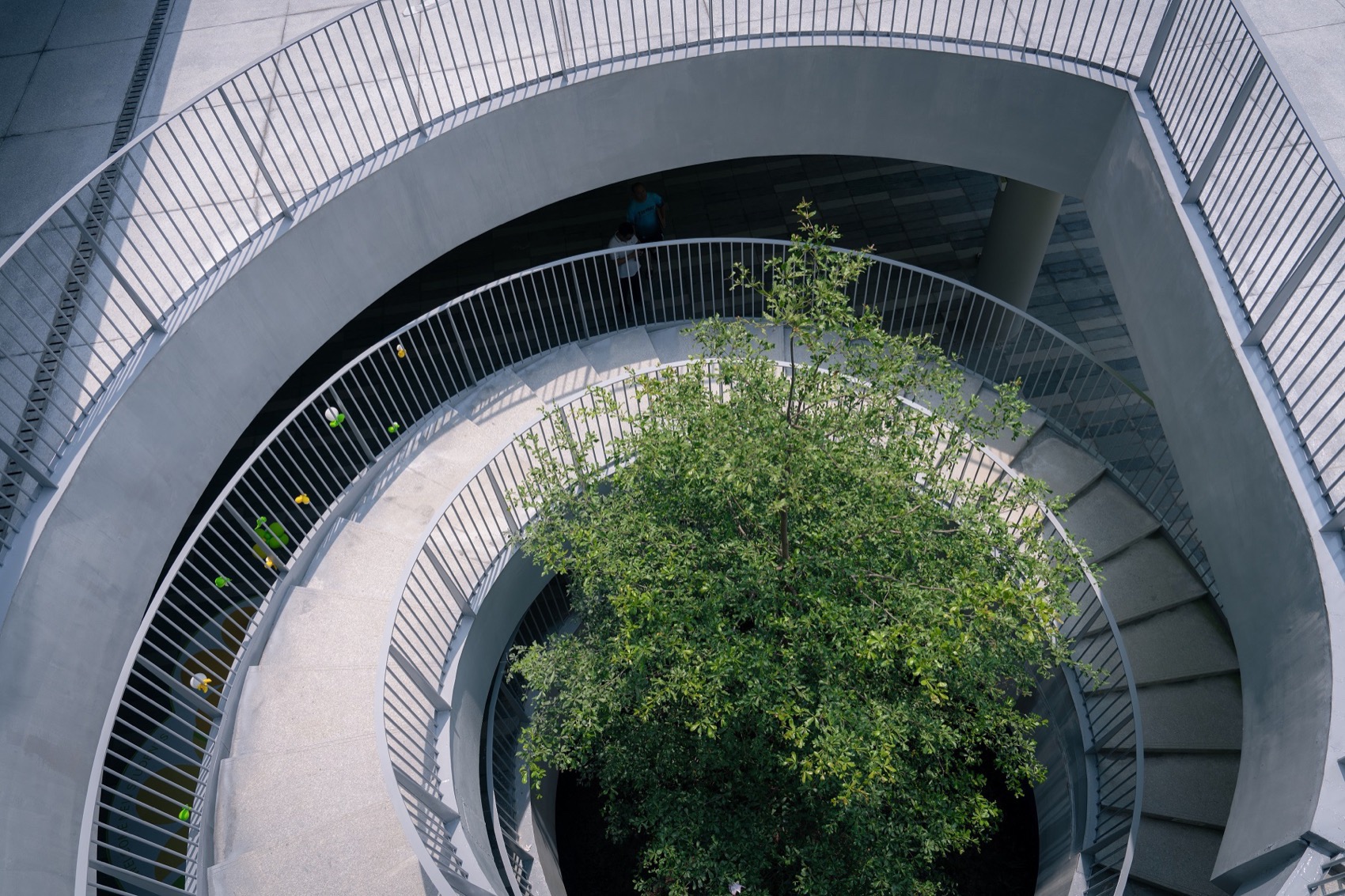 Shenzhen Futian Lvzhou Primary School by CCDI DongXiYing Studio - 谷德设计网