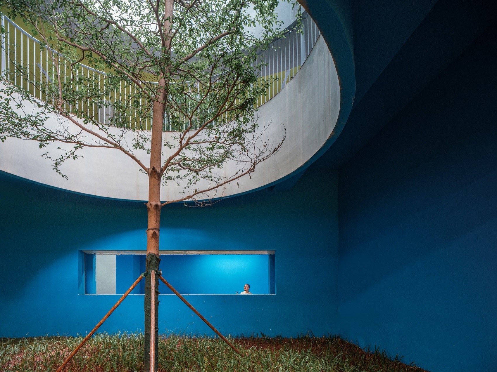 Shenzhen Futian Lvzhou Primary School by CCDI DongXiYing Studio - 谷德设计网