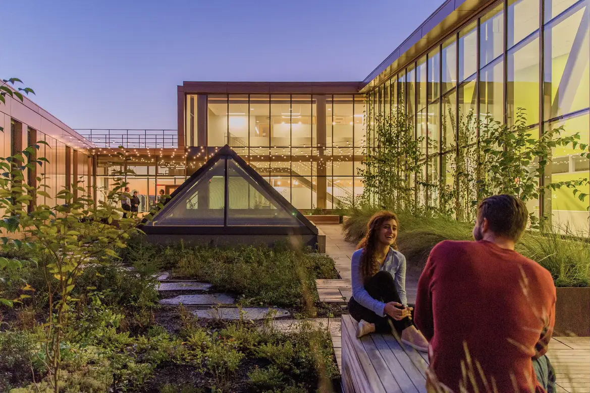 2025 ASLA GENERAL DESIGN AWARD OF HONOR: A Walk in the Woods: Re ...