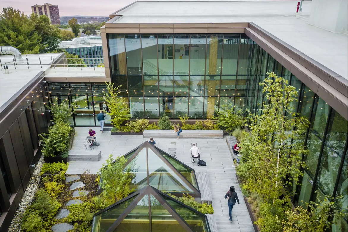 2025 ASLA GENERAL DESIGN AWARD OF HONOR: A Walk in the Woods: Re ...