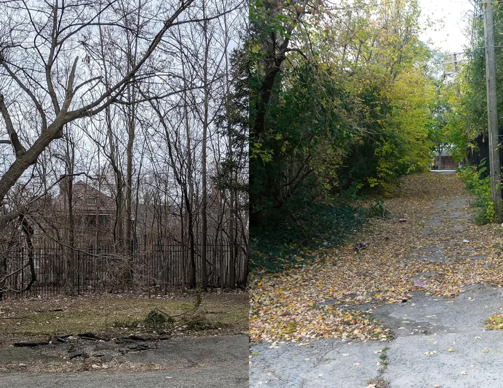 2025 ASLA GENERAL DESIGN AWARD OF HONOR: The Shepherd Arts Park ...