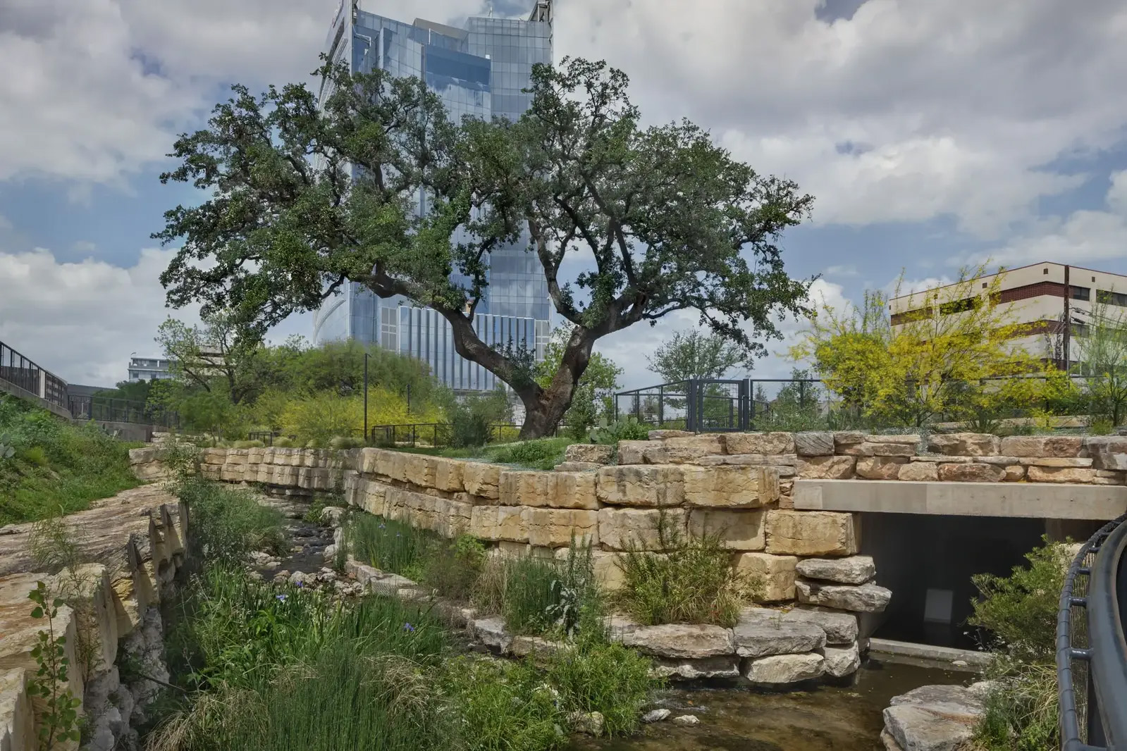 2025 ASLA GENERAL DESIGN AWARD OF HONOR: Waterloo Park / Michael Van ...