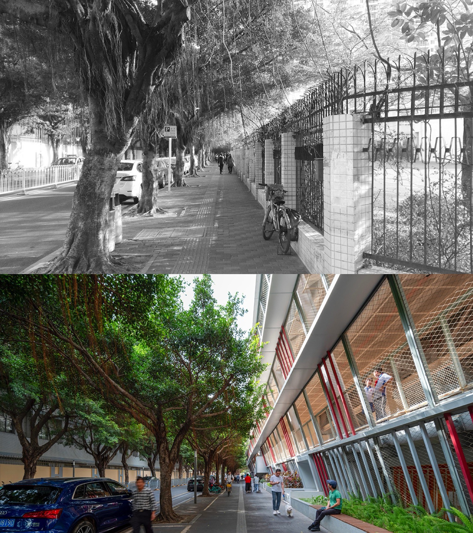 Intervention of Hongling Middle School Shixia Campus by Tumushi ...