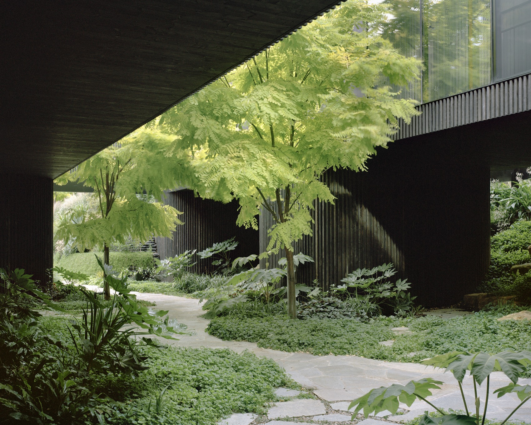House in a Garden by Edition Office - 谷德设计网